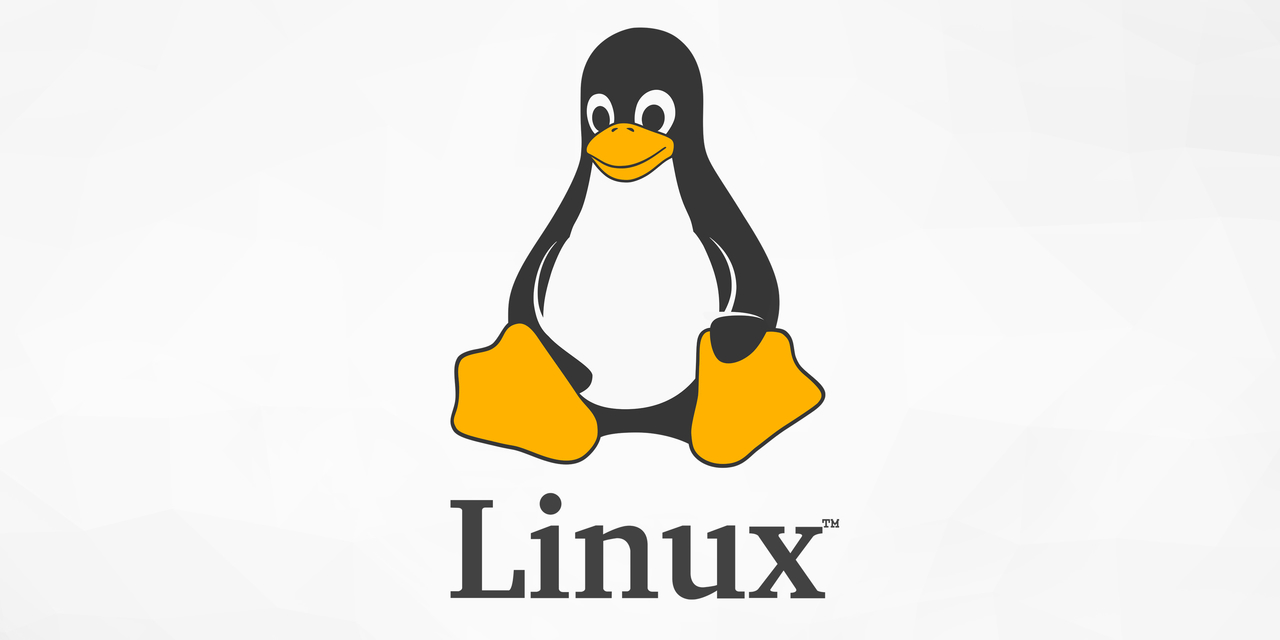 GitHub - oracle-9/operating-systems: University of Minho Operating ...