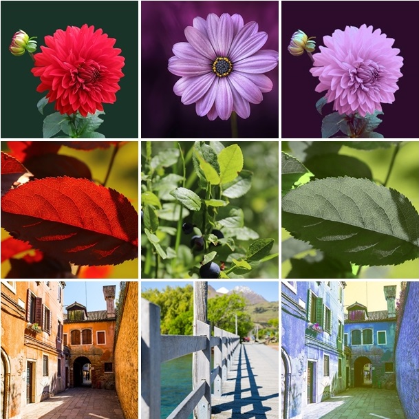 GitHub - AissamDjahnine/ColorTransfer: Color Transfer between Images in ...