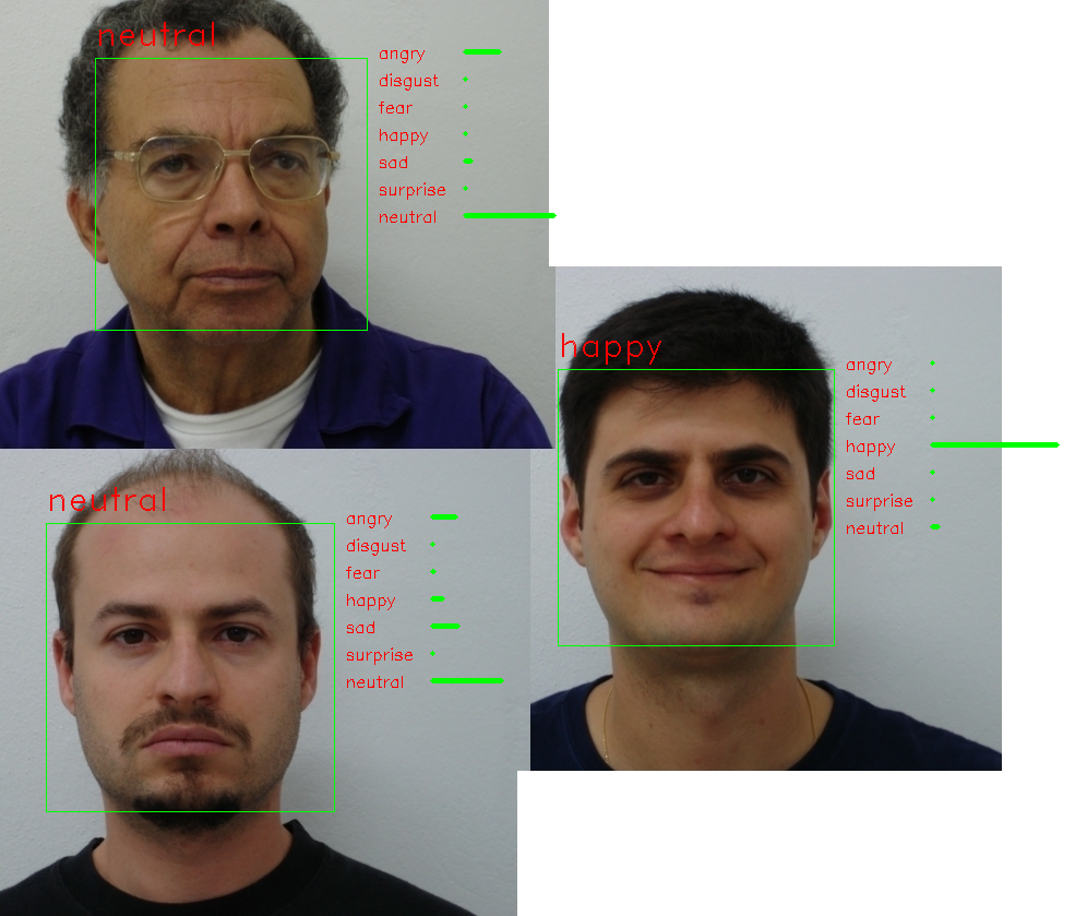 GitHub - nguyetn89/emotion-recognition: Facial emotion recognition