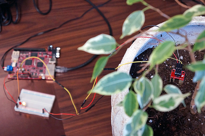 GitHub - Adelsamir01/Soil-Moisture-Monitoring-System: In this project ...