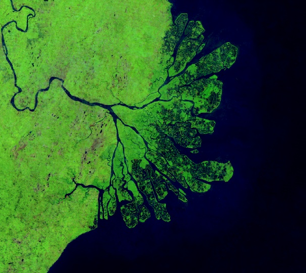 GitHub - jhnienhuis/GlobalDeltaChange: Global Delta Dataset