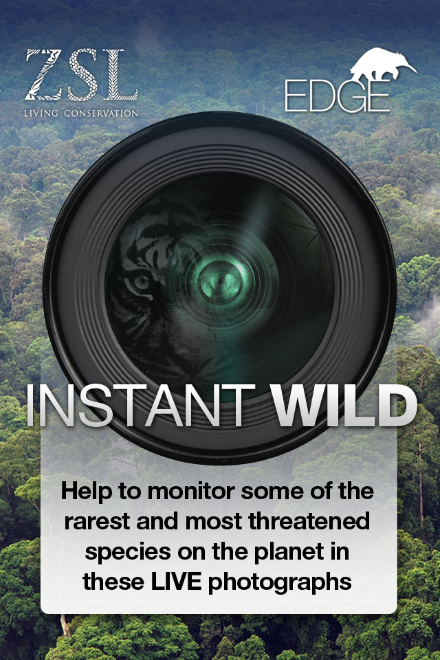 GitHub - experiential/instant-wild-ios