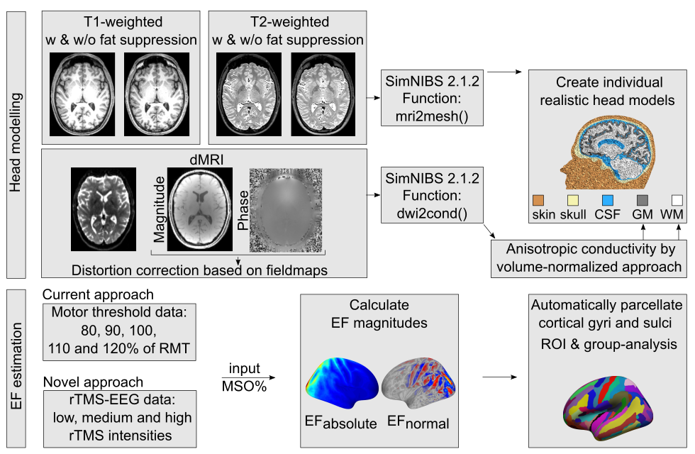 GitHub - ZsoltTuri/2019_rTMS-EEG: Open data and analysis script for our manuscript entitled ...