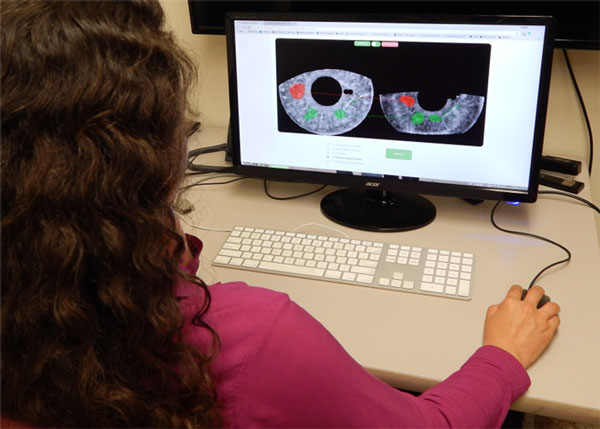 GitHub - danielmoreira/iris-examination: Web system that allows people ...