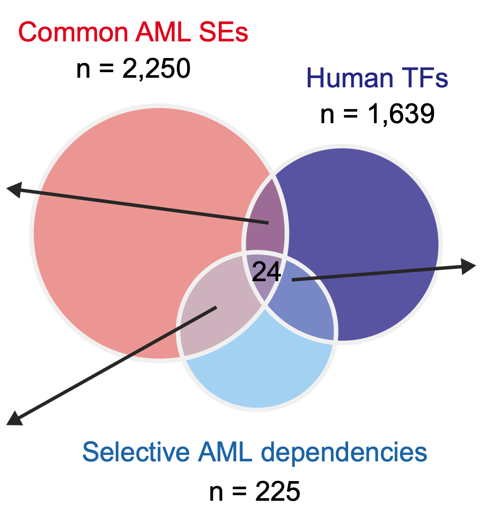 GitHub - jkobject/AMLproject: We are working on the AML pedDep project ...