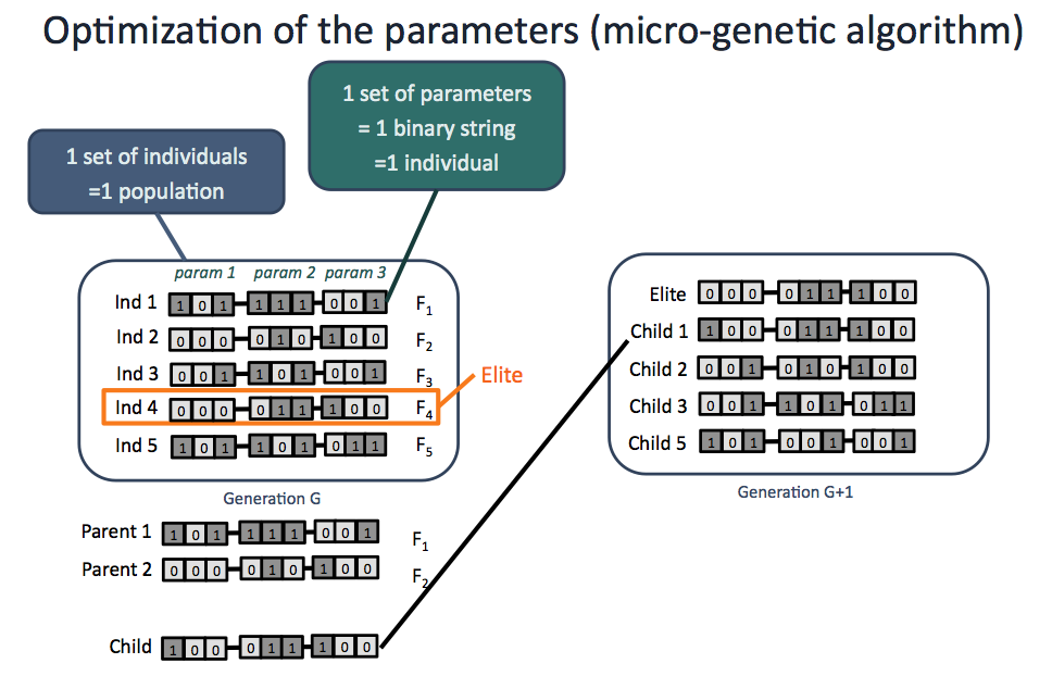 GitHub - SakinaAyata/microGA: microgenetic algorithm for parameter ...