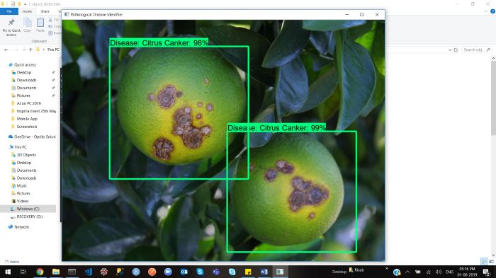 GitHub - RisabBiswas/Identification-of-Pathological-Disease-in-Plants-Powered-by-Intel ...