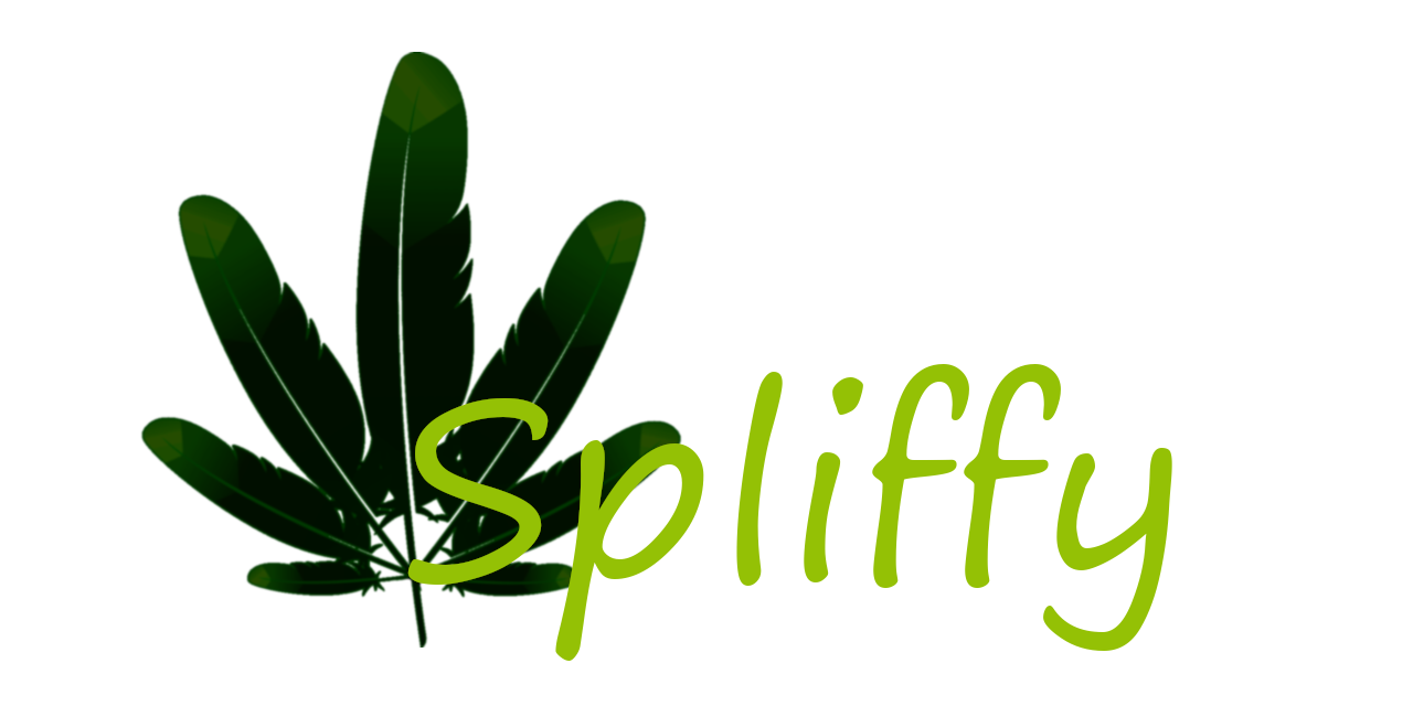 GitHub - SRFNStack/spliffy: Node http API framework with dir based ...