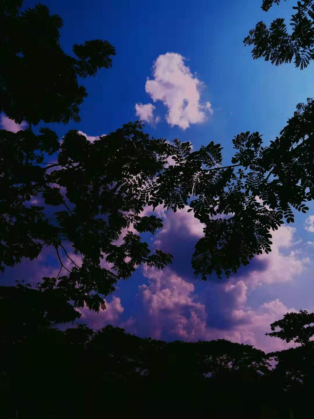 GitHub - VRCMF/Centerface: CenterNet for face detection and facial landmark