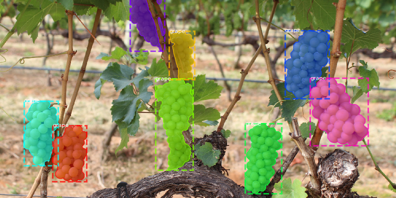 GitHub - thsant/wgisd: Embrapa Wine Grape Instance Segmentation Dataset - Embrapa WGISD