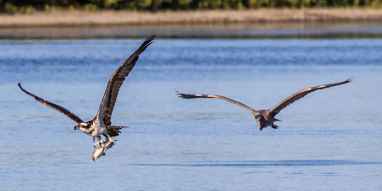 application-load-balancer · GitHub Topics · GitHub