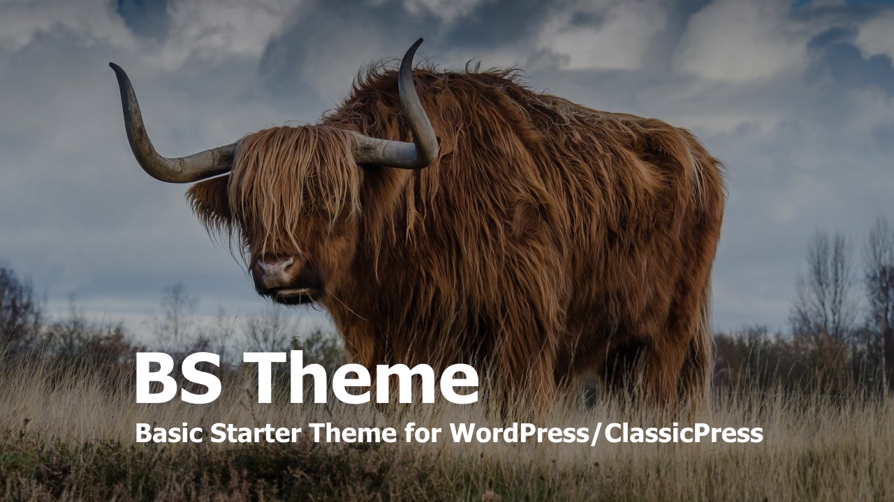 GitHub - ControlledChaos/bs-theme: A basic starter theme for WordPress ...