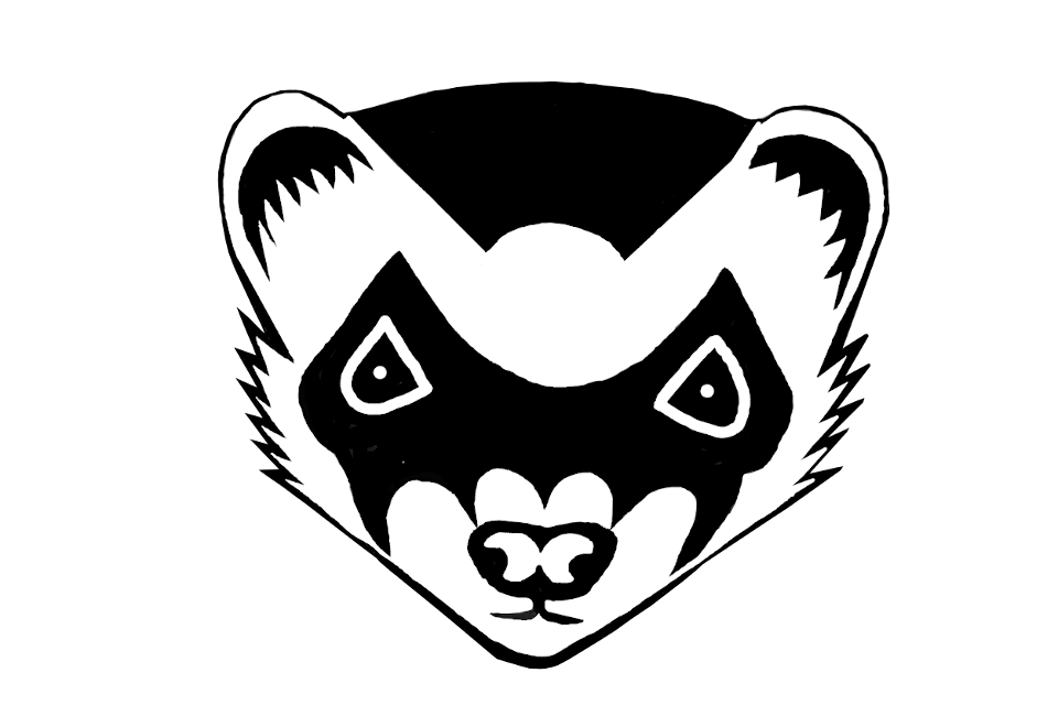 GitHub - Steve-Shillitoe/FERRET: MR signal model fitting desktop application build using Python ...