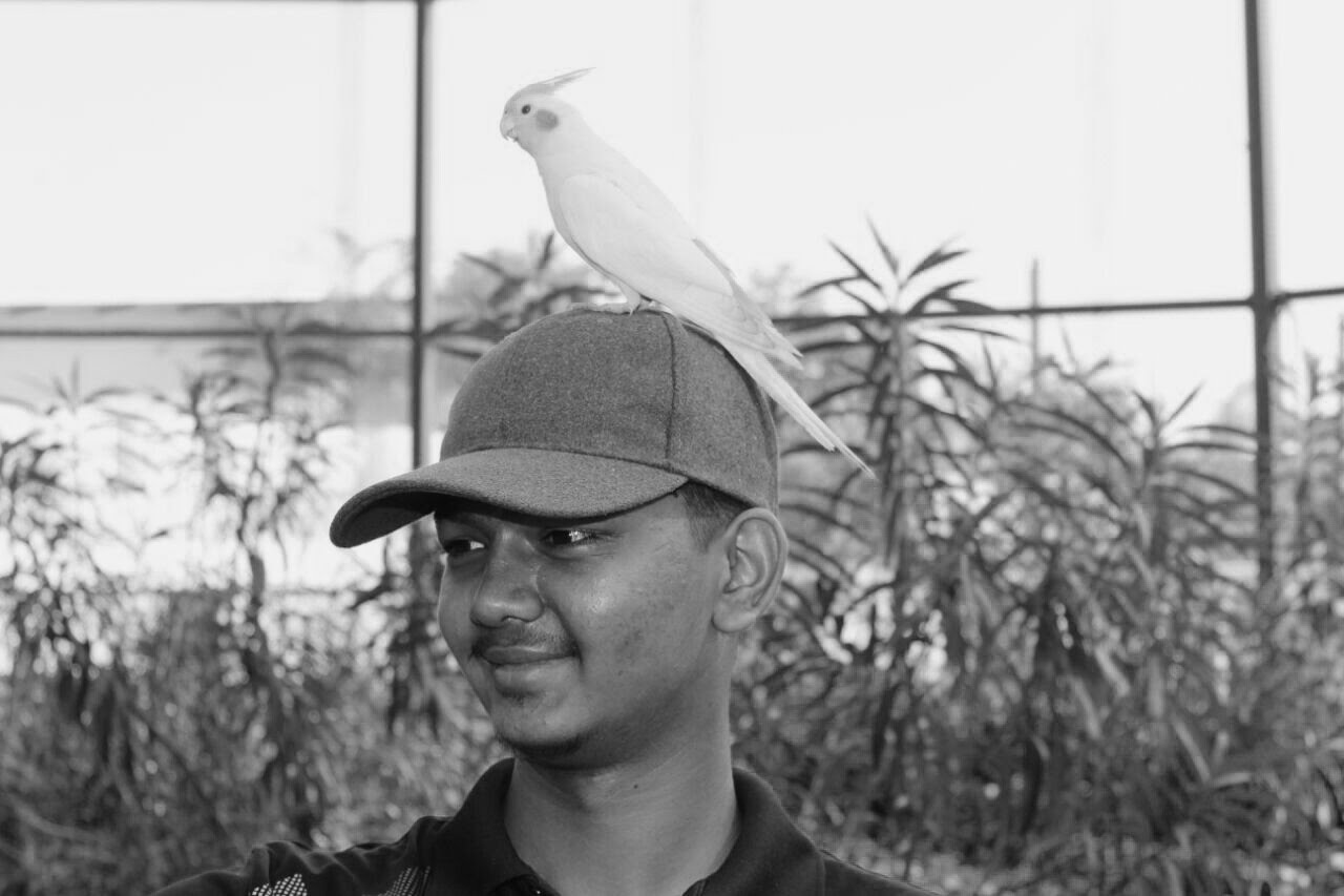 Github Python Semicolon List