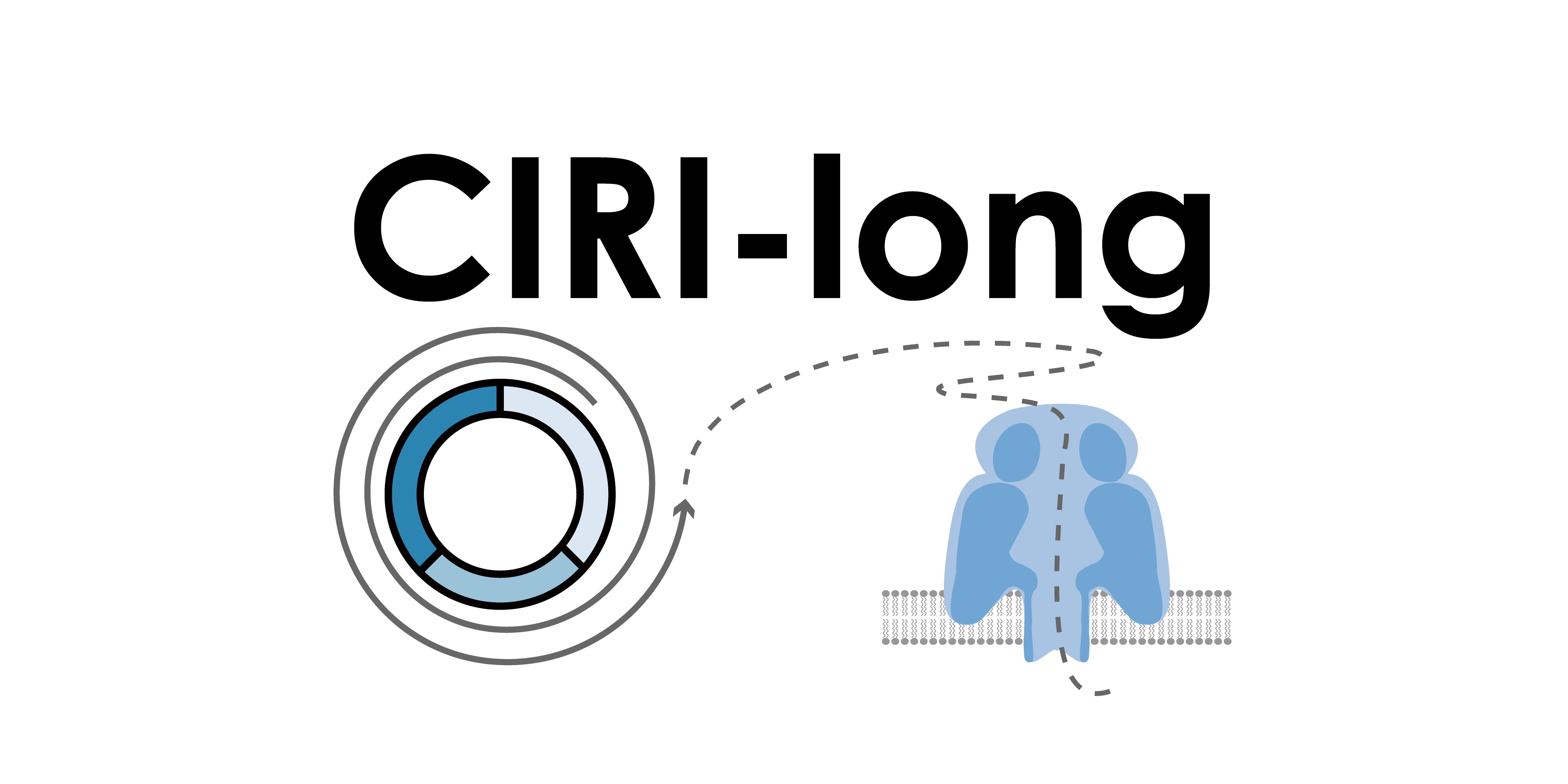 GitHub - bioinfo-biols/CIRI-long: Circular RNA Identification for ...
