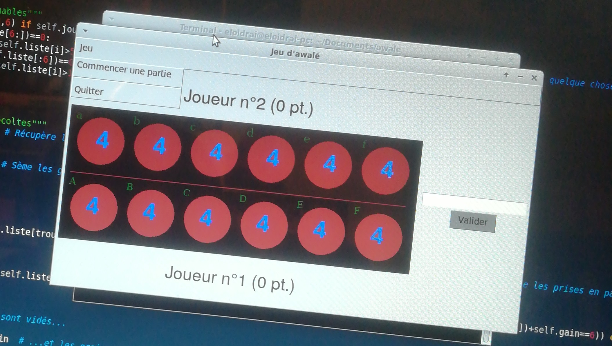 GitHub - eloidrai/awale: 🚥 Un jeu d'awalé en Python