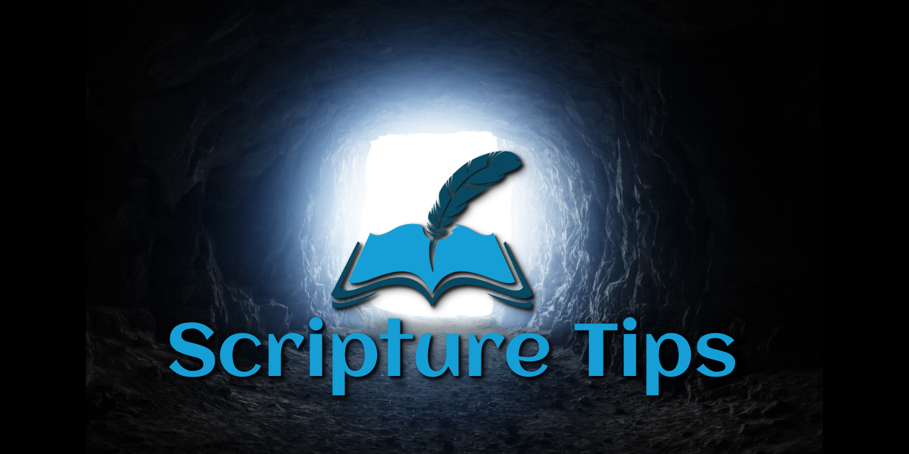 GitHub - adonai-reigns/ScriptureTips-BrowserPlugin: A browser plugin that recognises references ...