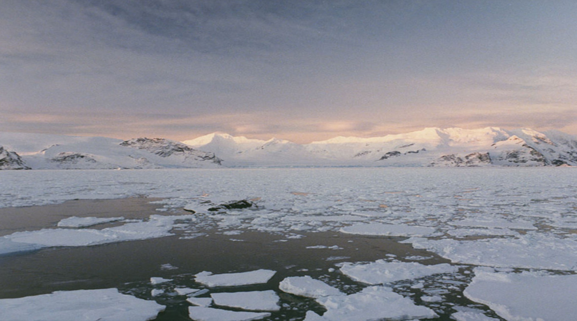 GitHub - RaphaelLab/SeaIceVariation: Code used in the paper "Modeling the annual cycle of daily ...