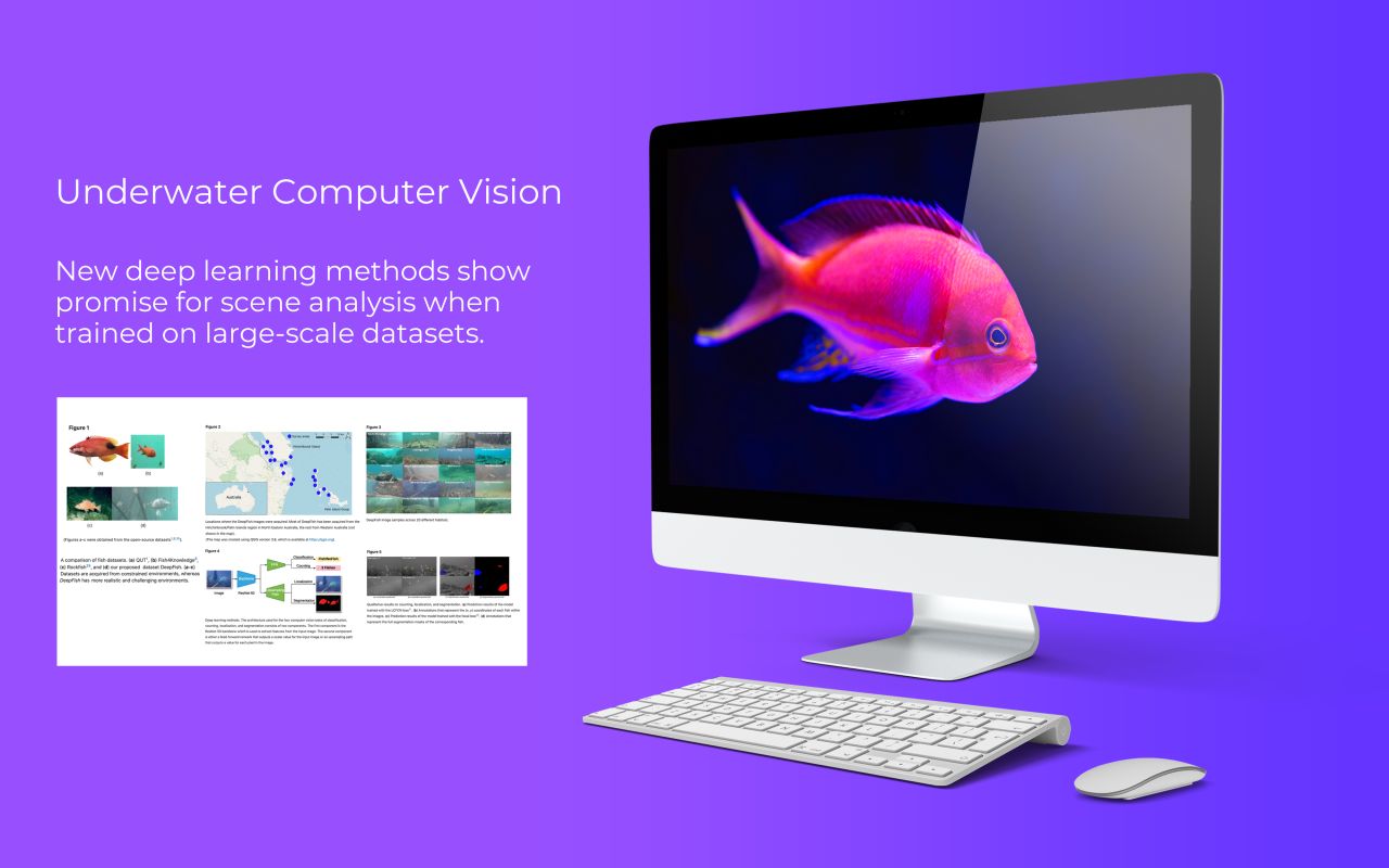 GitHub - alzayats/DeepFish: JCU DeepFish dataset