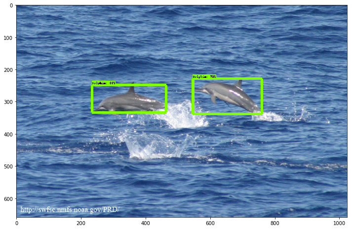 GitHub - bgalvao/tf-object-detection-viewer: Video and webcam ... GitHub - bgalvao/tf-object-detection-viewer: Video and webcam ...