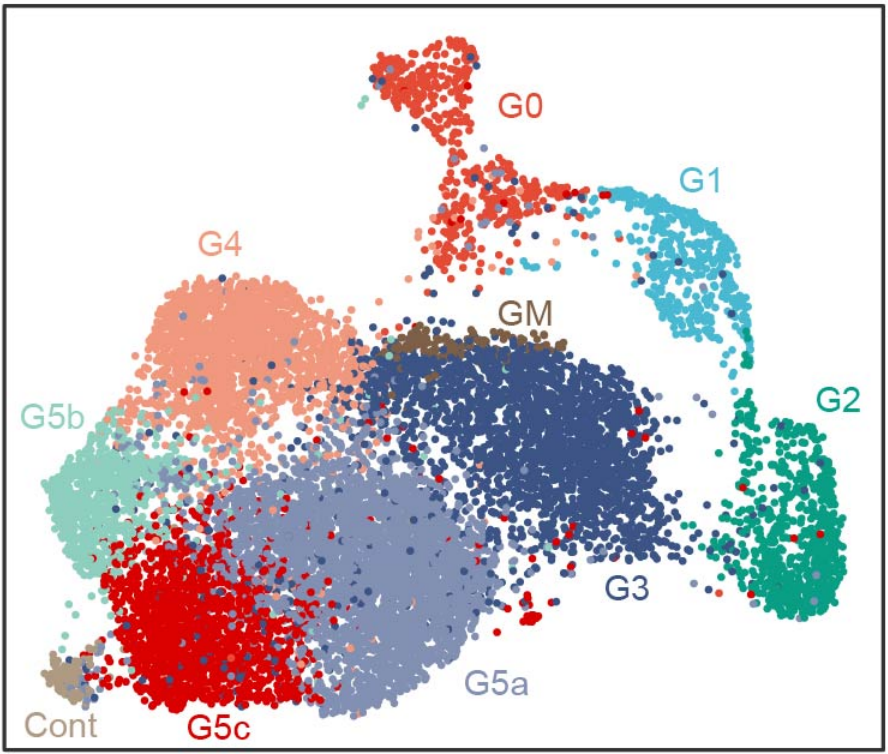 GitHub - JiayuSuPKU/Neutrophil_Atlas: Analytical pipeline & codes for the atlas project (https ...