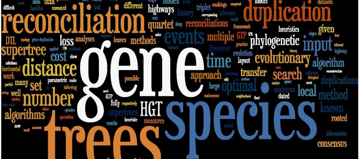 GitHub - sauravdhr/tnet_python: Transmission Network (TNet)