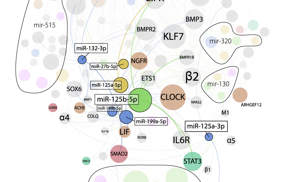 GitHub - slobentanzer/integrative-transcriptomics: Integrative ...