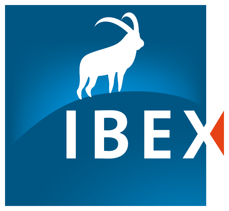 GitHub - ibex-team/ibex-lib: IBEX is a C++ library for constraint processing over real numbers.