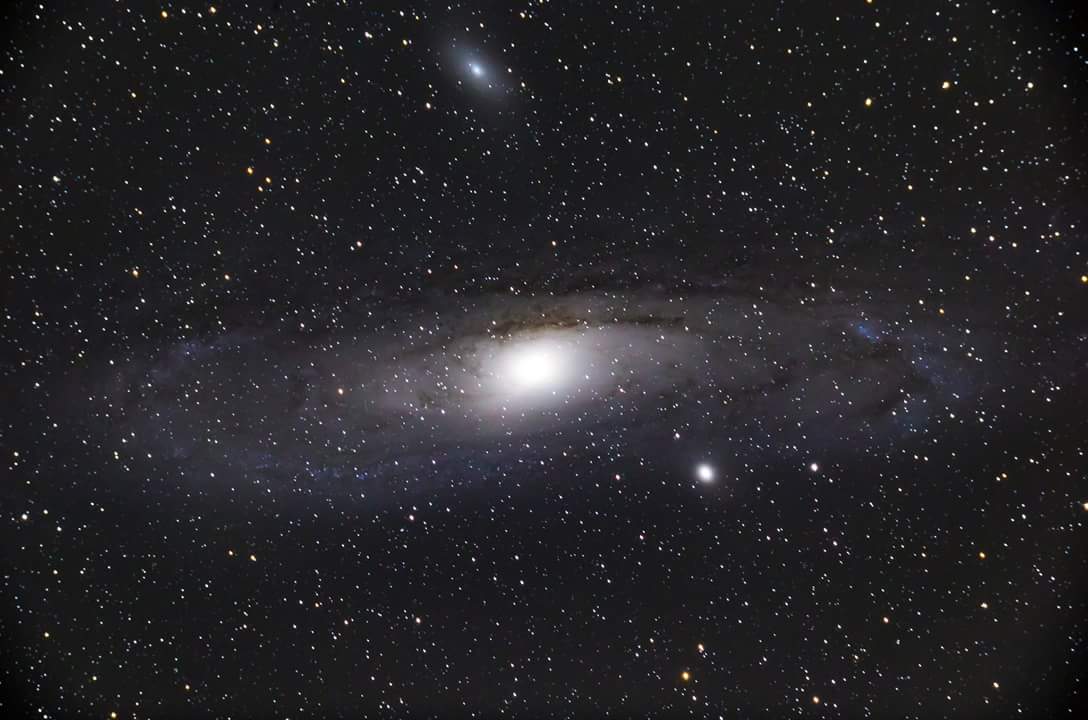 GitHub - honghui-liu/honghui-liu.github.io