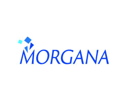 GitHub - feof81/morganaPublic: Morgana complex modelling code