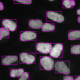 GitHub - ondrados/cnn-cells: Cell detection using convolutional neural ...