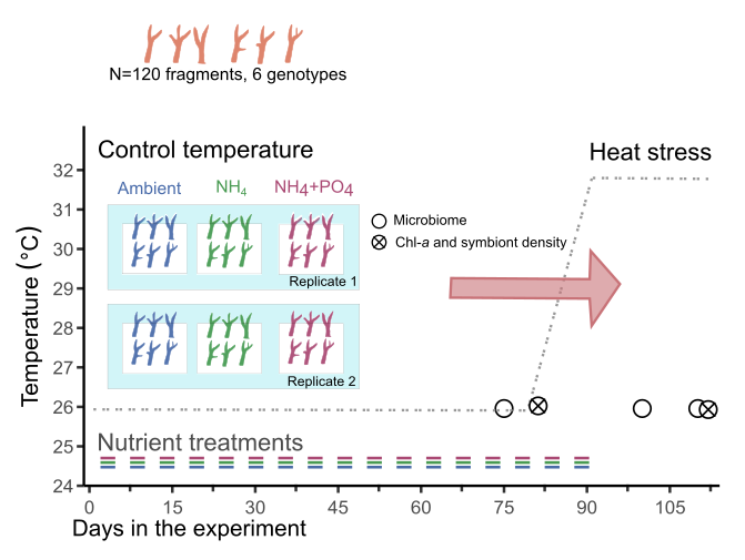 GitHub - anampc/Nutrients_Genotypes