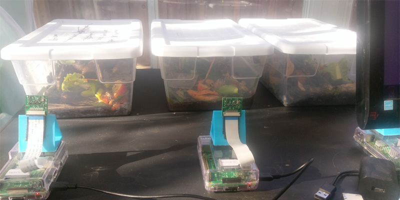 GitHub - mistylackie/snail-habitat: Snail habitat with a Raspberry Pi ...