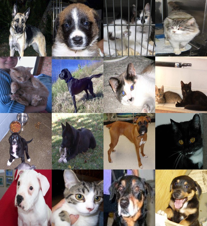 GitHub - lvsolo/Mult_Images_Display_In_One_Window: Genrate One Image ...