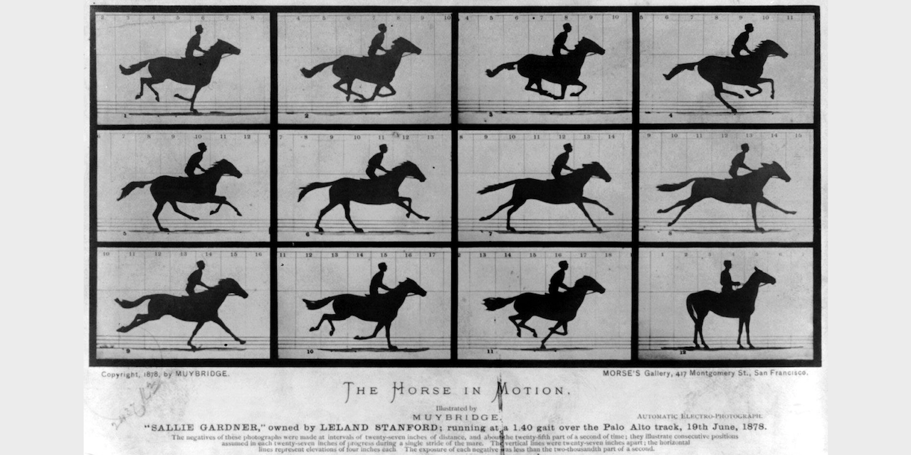 GitHub - udem-dlteam/bbv-gambit: Gambit is an efficient implementation ...