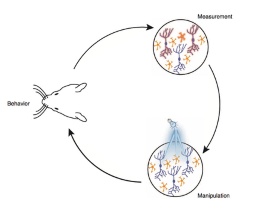 d2p/jupyter/ROC.ipynb at master · sarmstg/d2p · GitHub