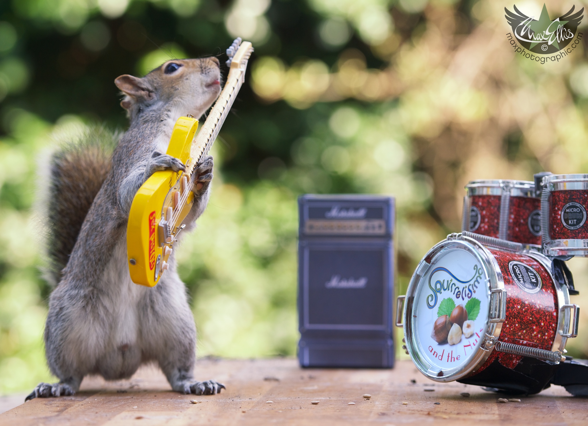 Github Summer Vacation Algoexec