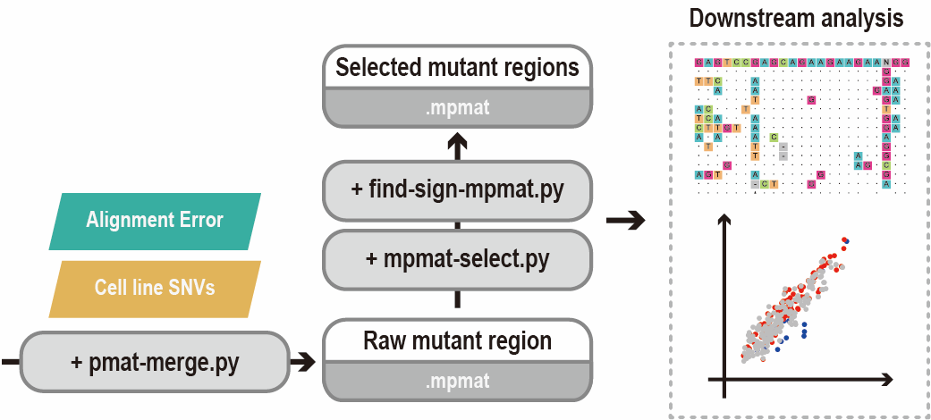 GitHub - menghaowei/Detect-seq: An unbiased method for genome-wide CBE ...