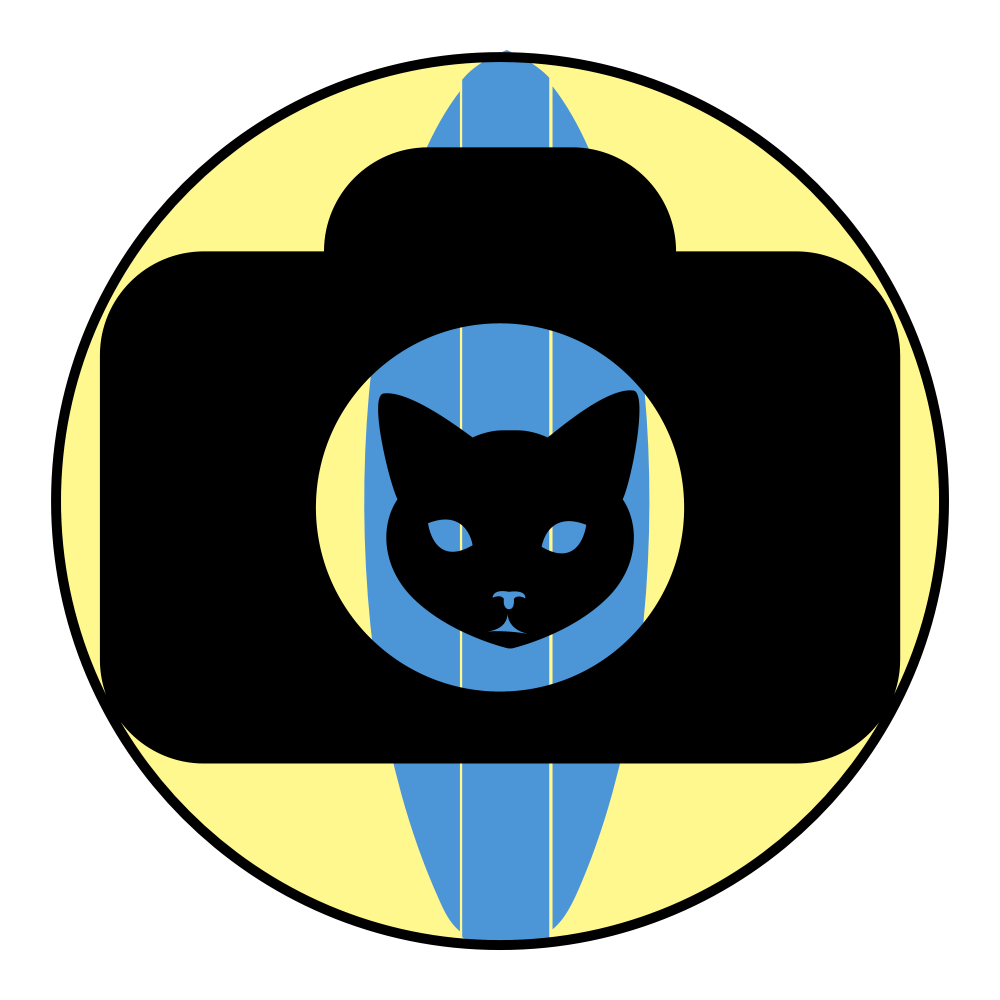 GitHub - conlin-matt/SurfRCaT: SurfRCaT: Surf-Camera Remote Calibration Tool