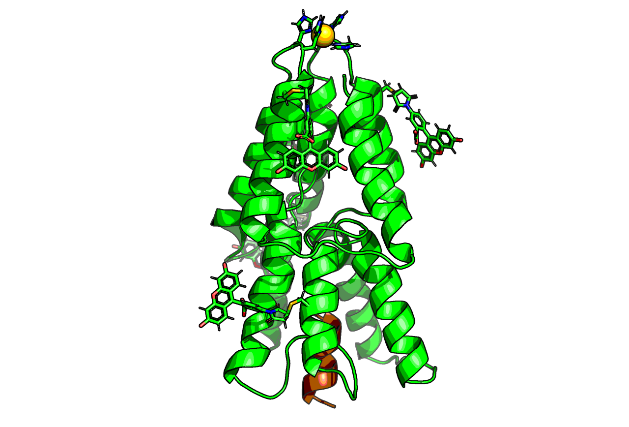 GitHub - matteoferla/Christmas_tree_protein: A Christmas tree protein