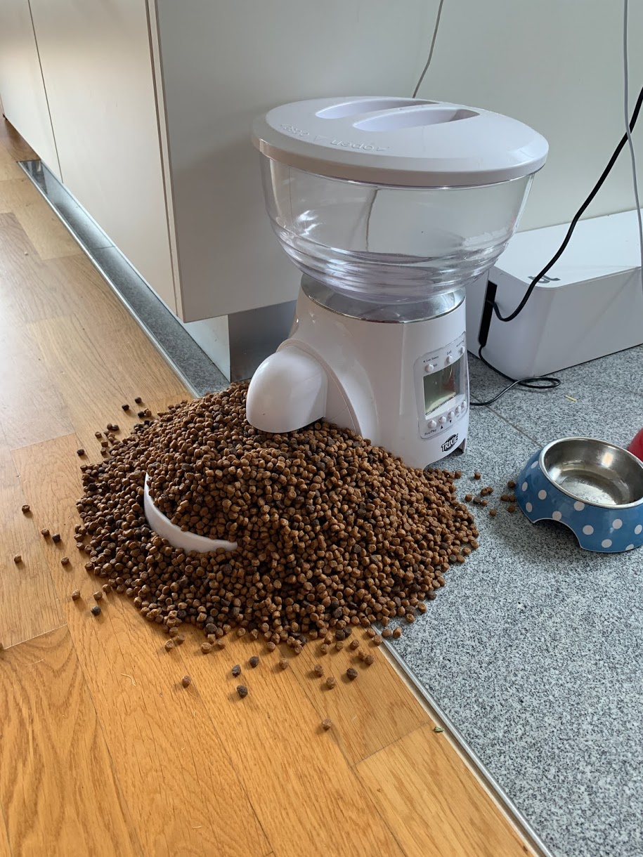 GitHub - tonibirrer/catfeeder: Feed My Cats with a Raspberry Pi