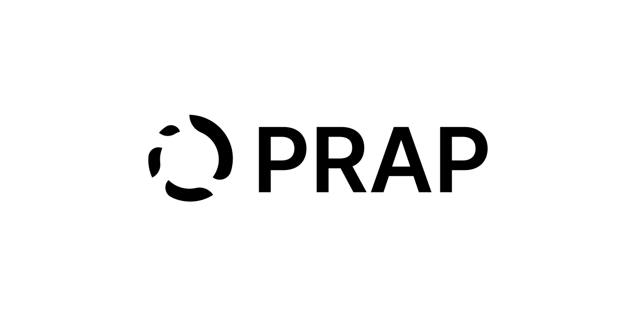GitHub - payw-org/prap: A modern and simple-to-use presentation ...