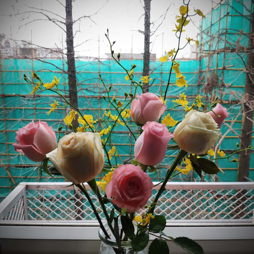 GitHub - Li-WeiXin/my_Blog: my blog website