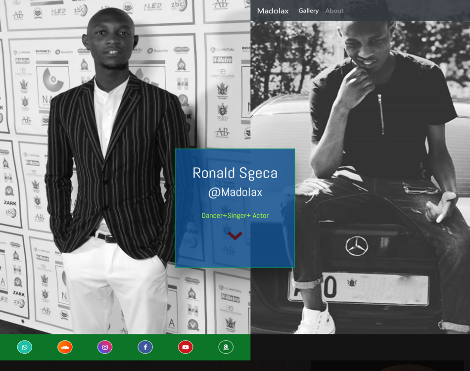 GitHub - zee-cell/madolax: madolax web site