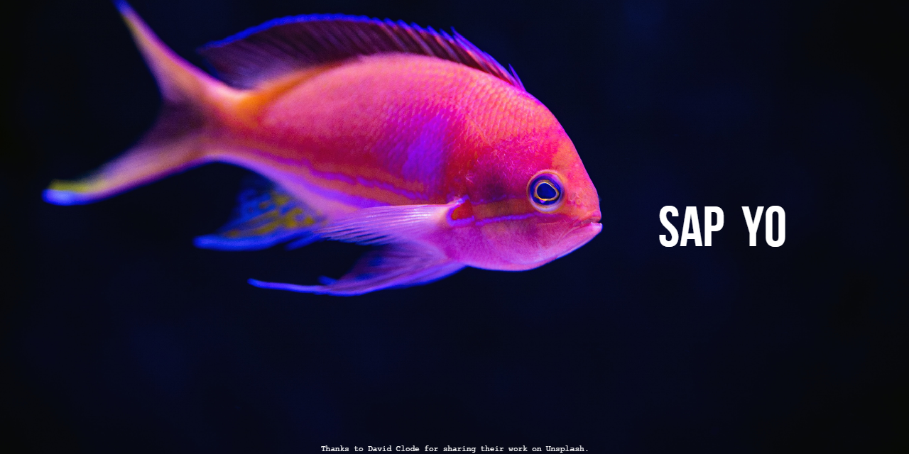 GitHub - zopagaduanjr/SAP-1: Computer Architecture SAP-1 by Malvino