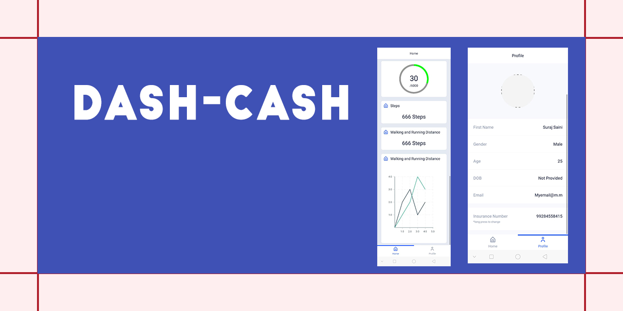 GitHub - iitsuraj/dash-cash