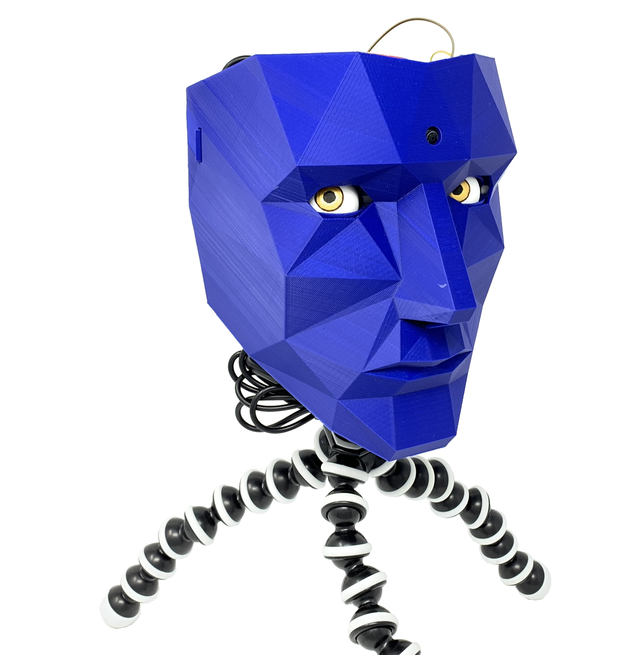 GitHub - graham-jessup/Watchman: Code for AIY Vision face-tracking eye ...