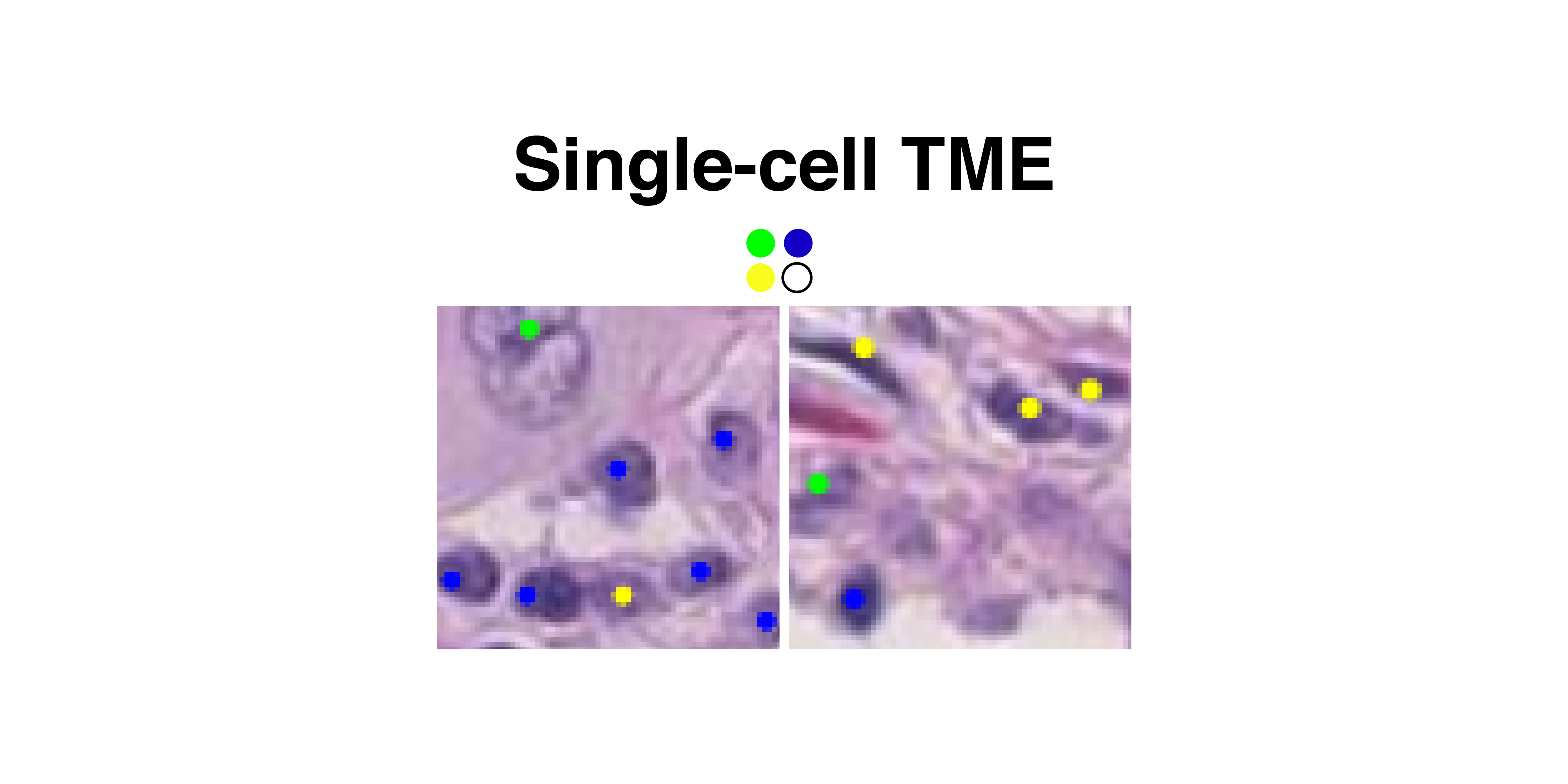 GitHub - qalid7/compath: deep learning pipeline repository for the ...