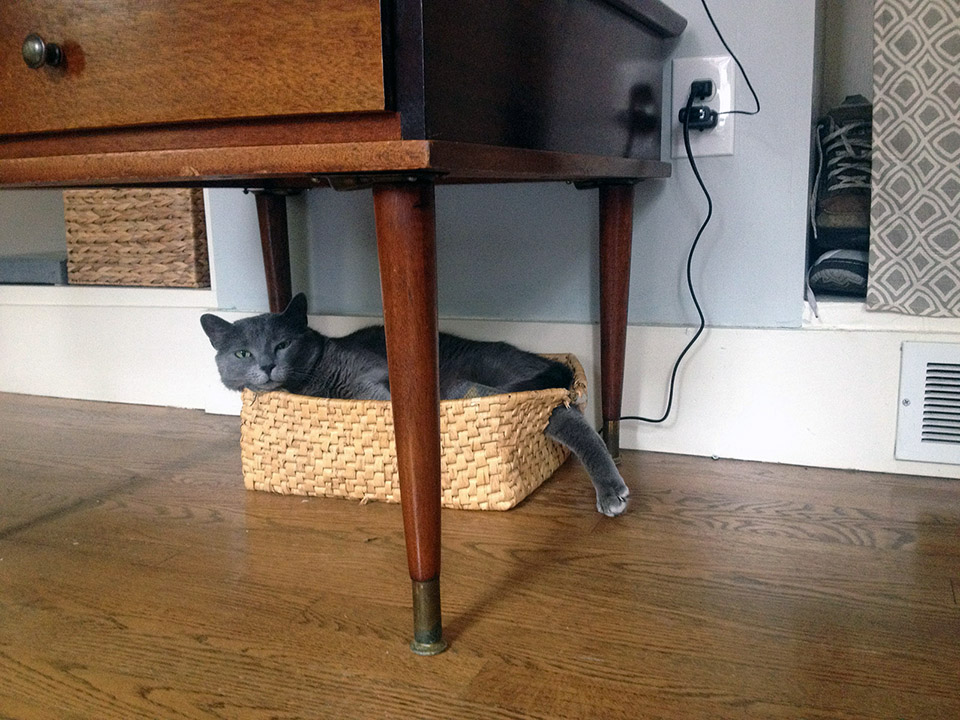 GitHub - russellsamora/emoji-essence