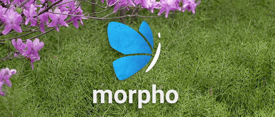 GitHub - B4rtware/morpho: A framework for microservice based document ...